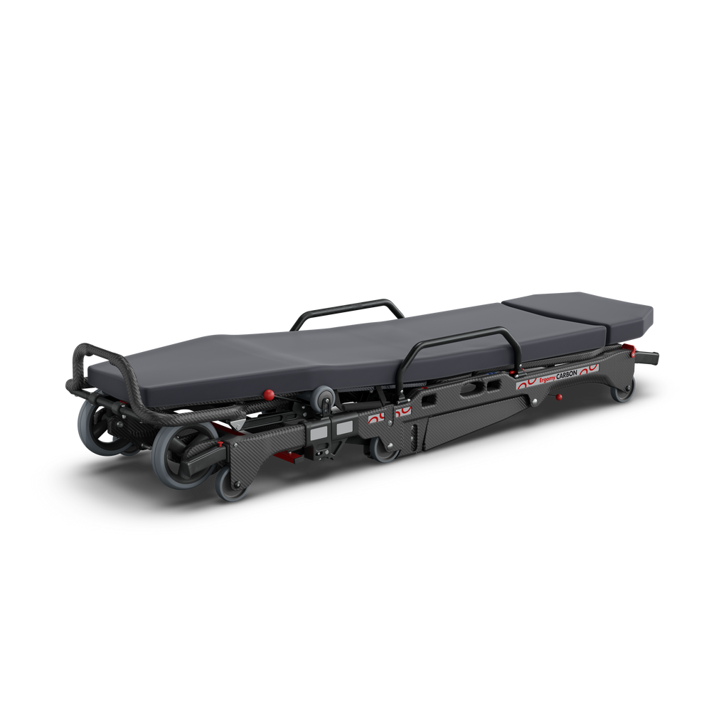 Ergomy Carbon – Frestems